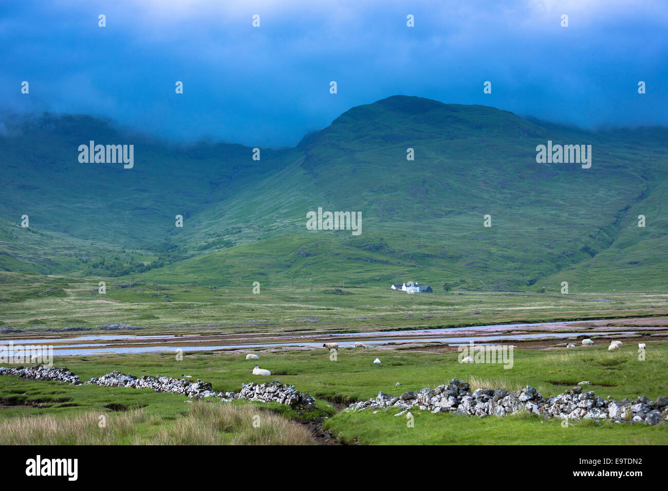 Small white solitary crofters cottage nestling below mountain range by ...