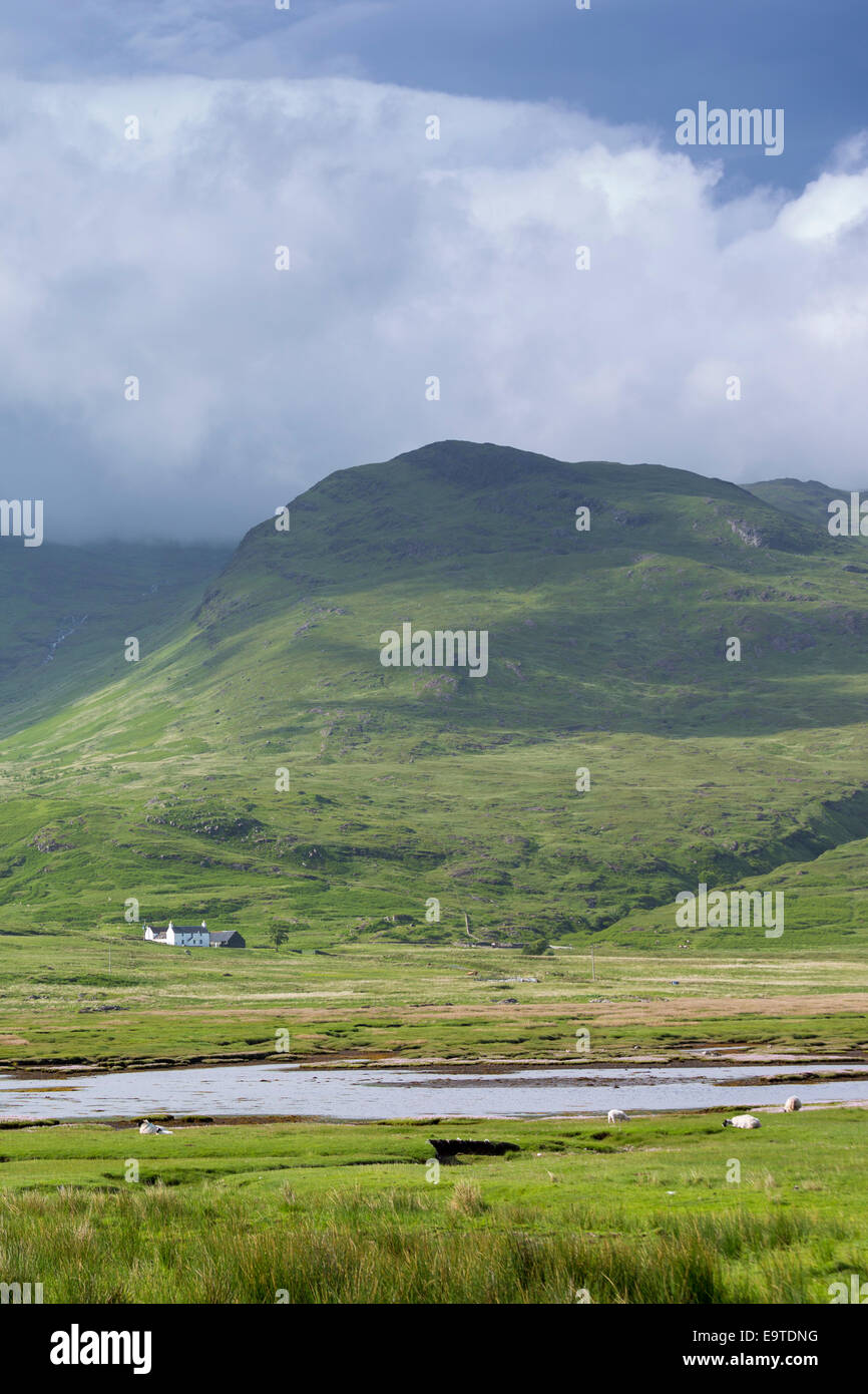Small white solitary crofters cottage nestling below mountain range by ...