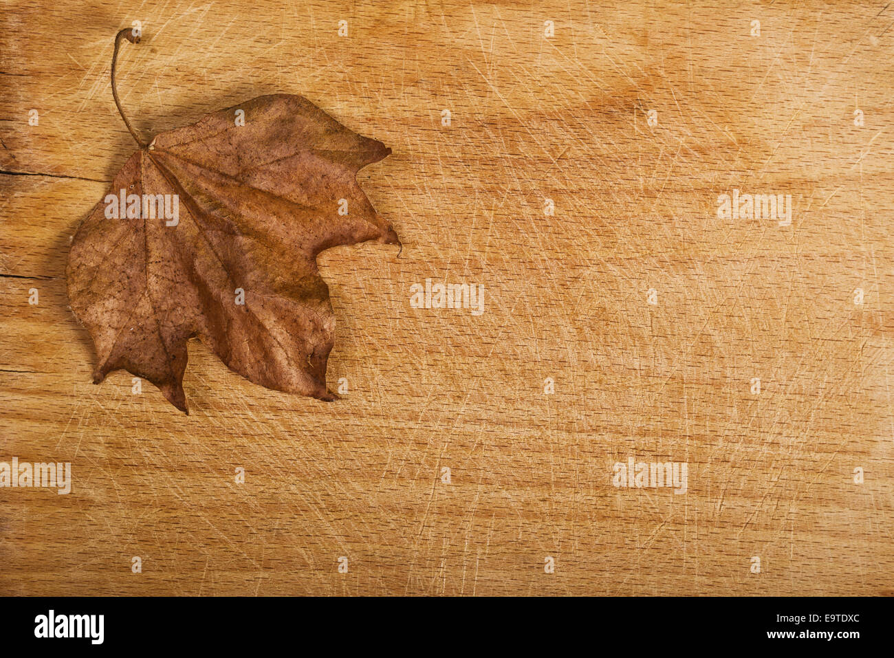 Maple wood texture hi-res stock photography and images - Alamy