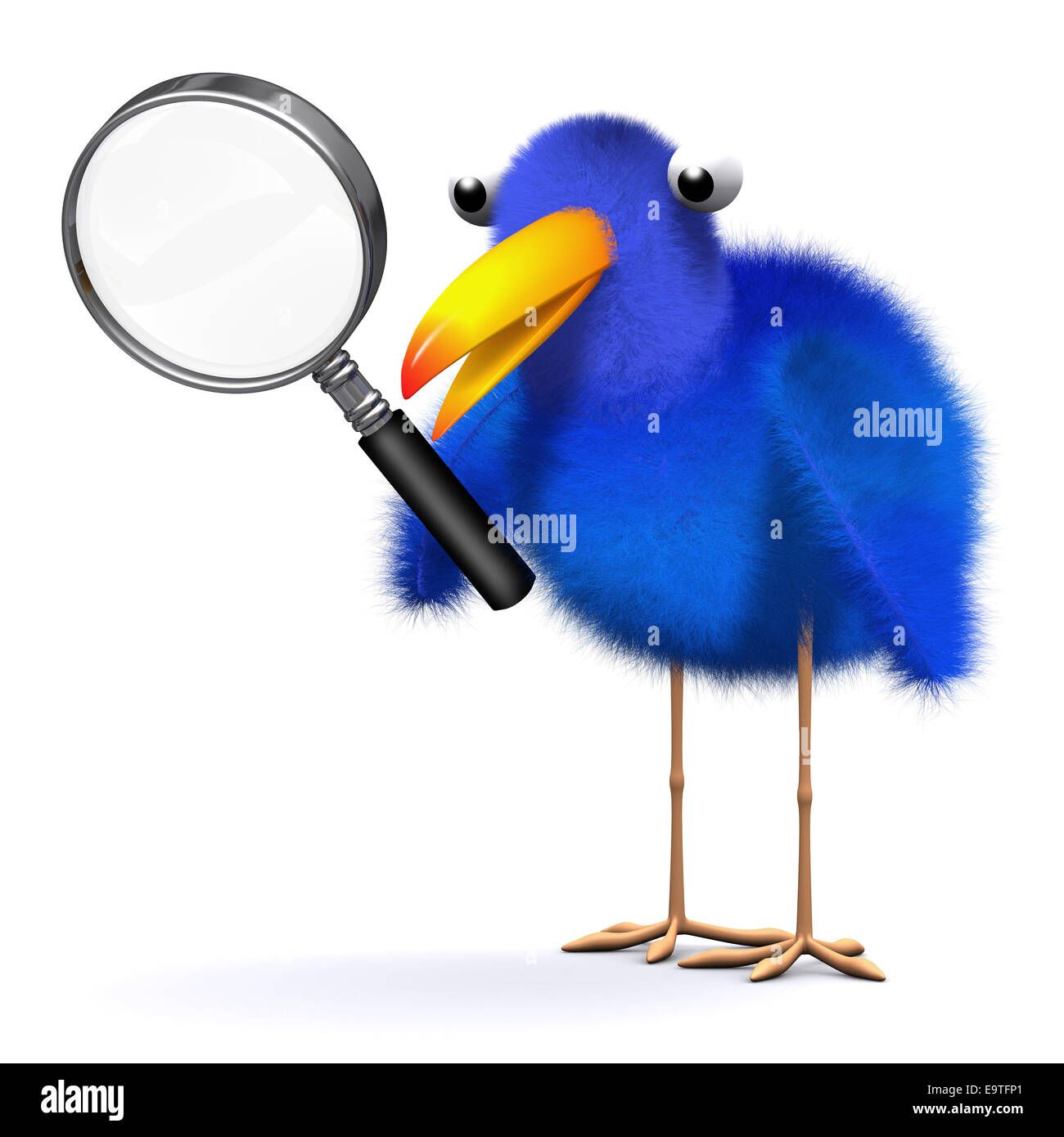 3d render of a bluebird with a magnifying glass Stock Photo - Alamy