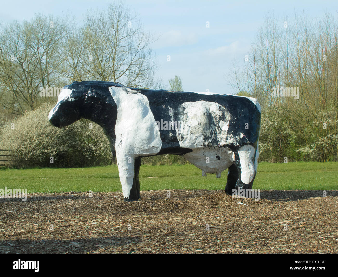 Concrete cows in Milton Keynes created in 1978 by Canadian born artist ...