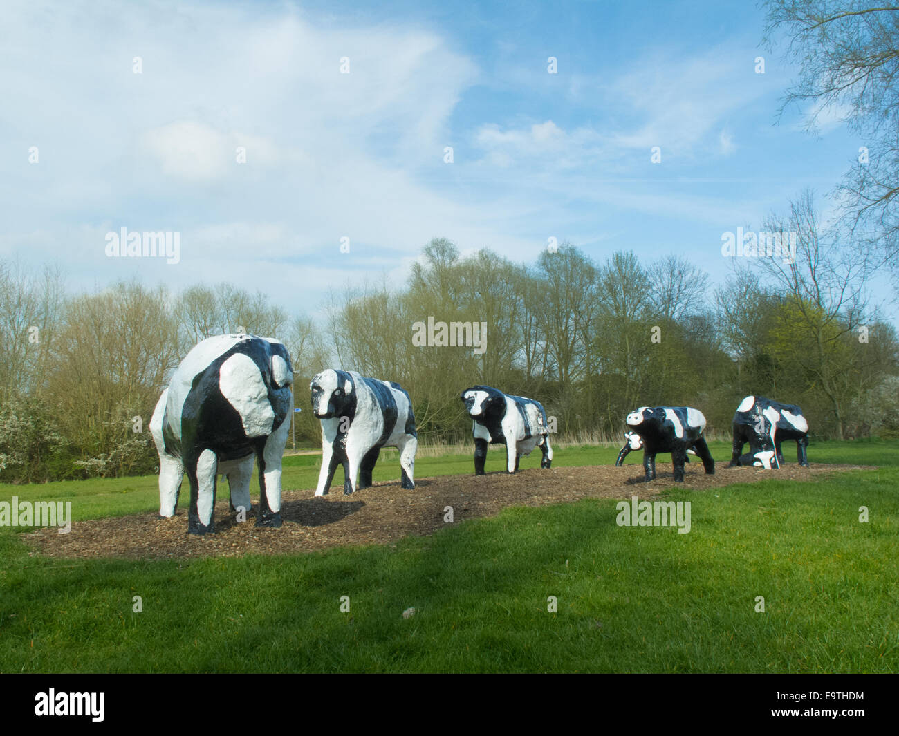 Concrete cows in Milton Keynes created in 1978 by Canadian born artist ...