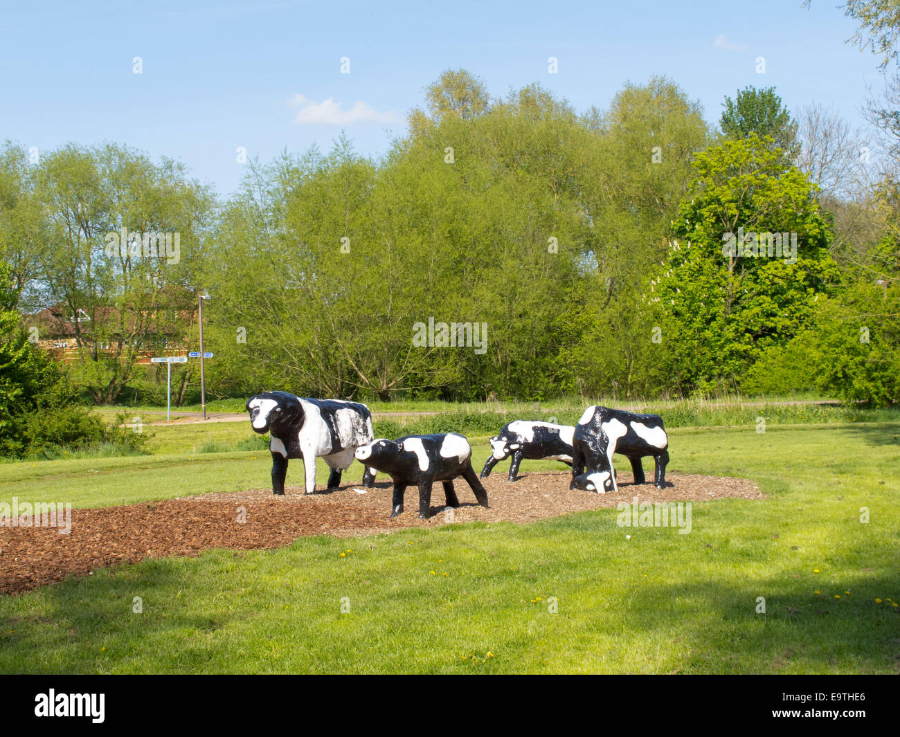 Concrete cows in Milton Keynes created in 1978 by Canadian born artist ...