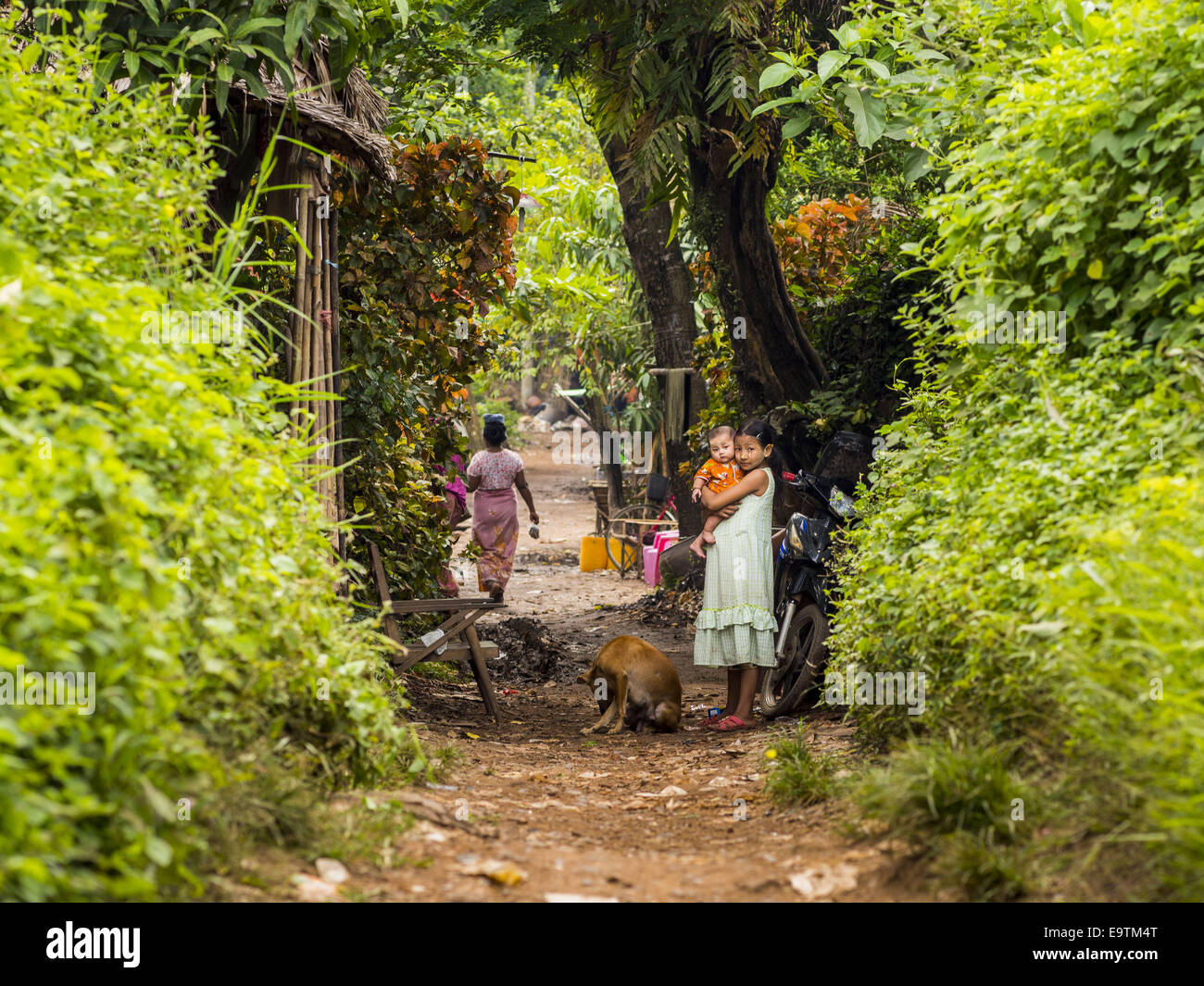 Twante, Yangon Division, Myanmar. 2nd Nov, 2014. A path in the jungle ...