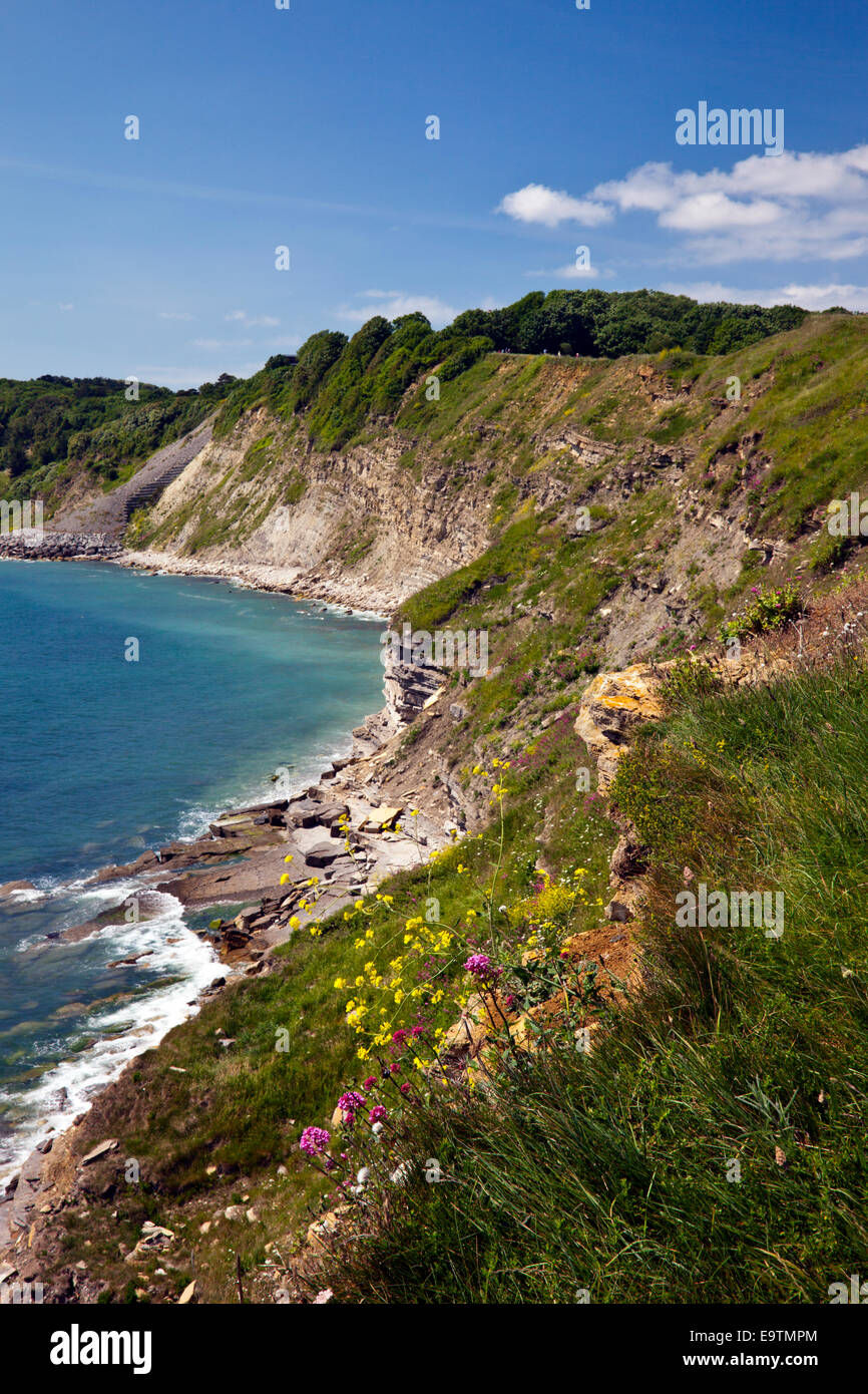 Durlston Bay on the Jurassic Coast at Swanage Dorset England UK Stock ...