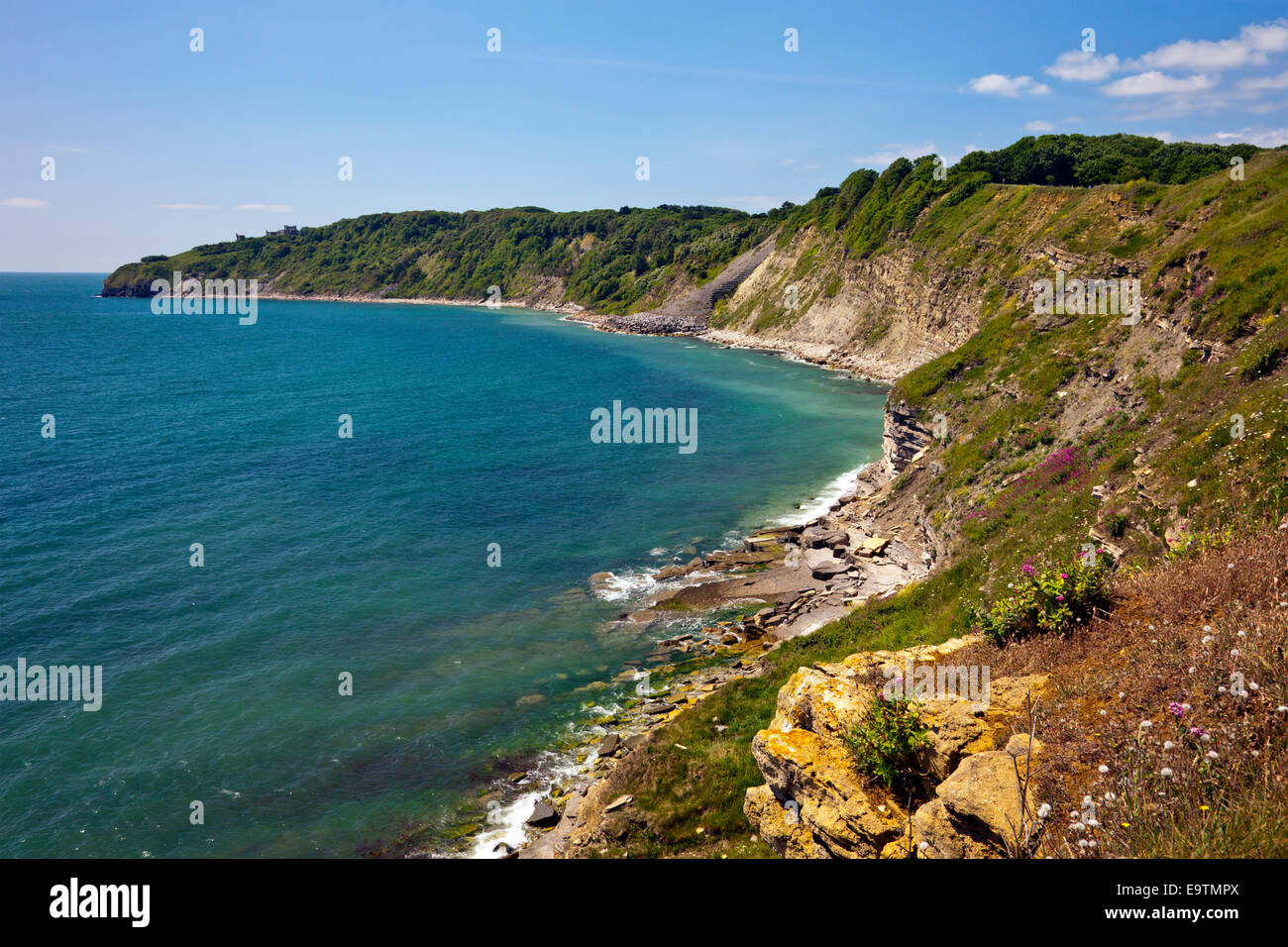 Durlston Bay on the Jurassic Coast at Swanage Dorset England UK Stock ...