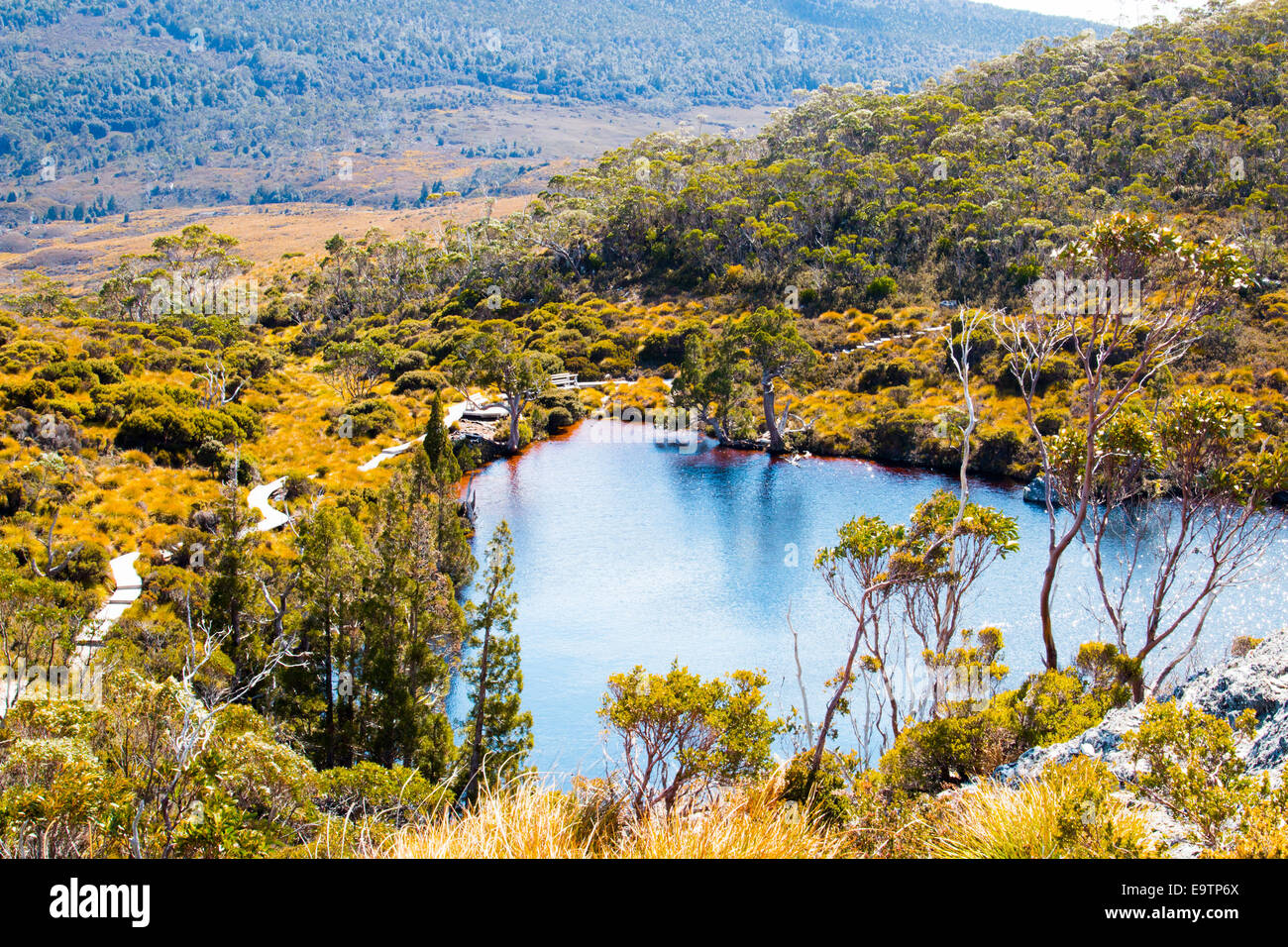 Wombat pool in cradle mountain lake st clair national wilderness park ...