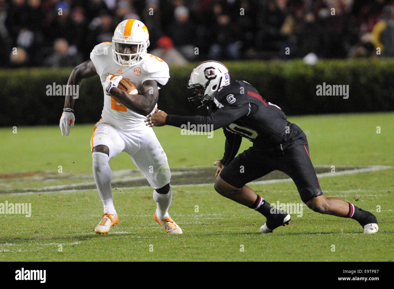 Brandon wilds hi-res stock photography and images - Alamy