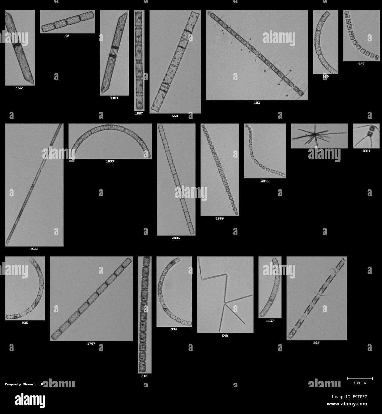 Atmospheric properties Black and White Stock Photos & Images - Alamy