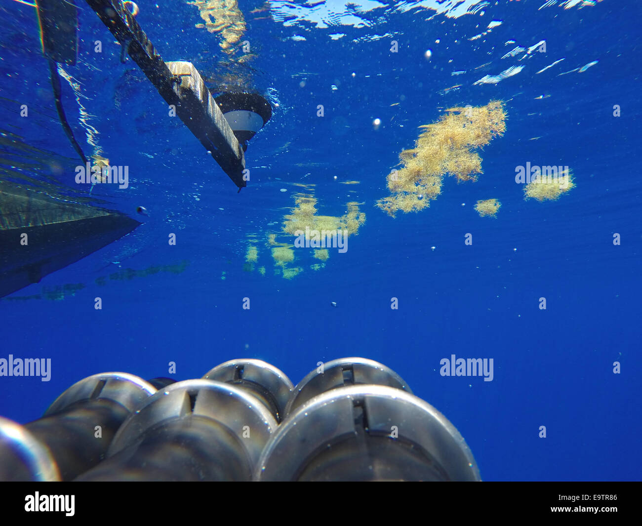 NASA's SABOR initiative studies ocean bio-optical properties using ship ...