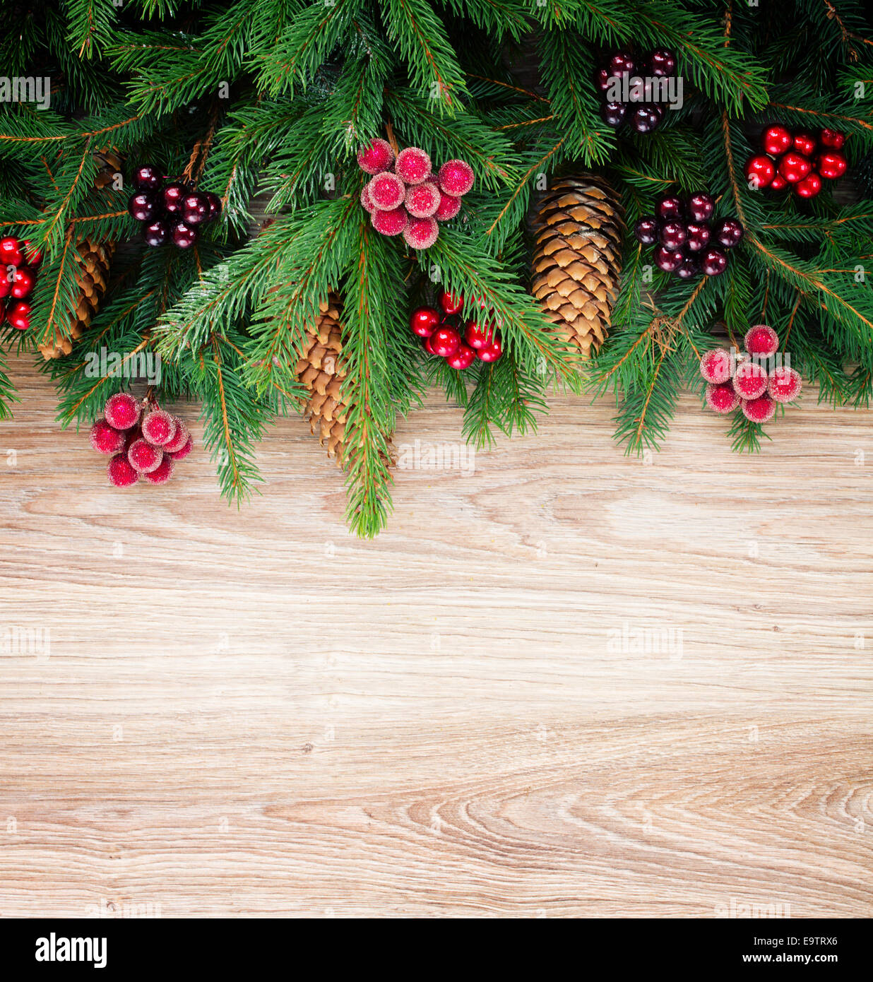 Pine tree border hi-res stock photography and images - Alamy