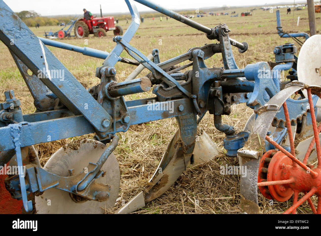 Tadcaster, North Yorkshire, UK. 02nd Nov, 2014. In the fields near ...