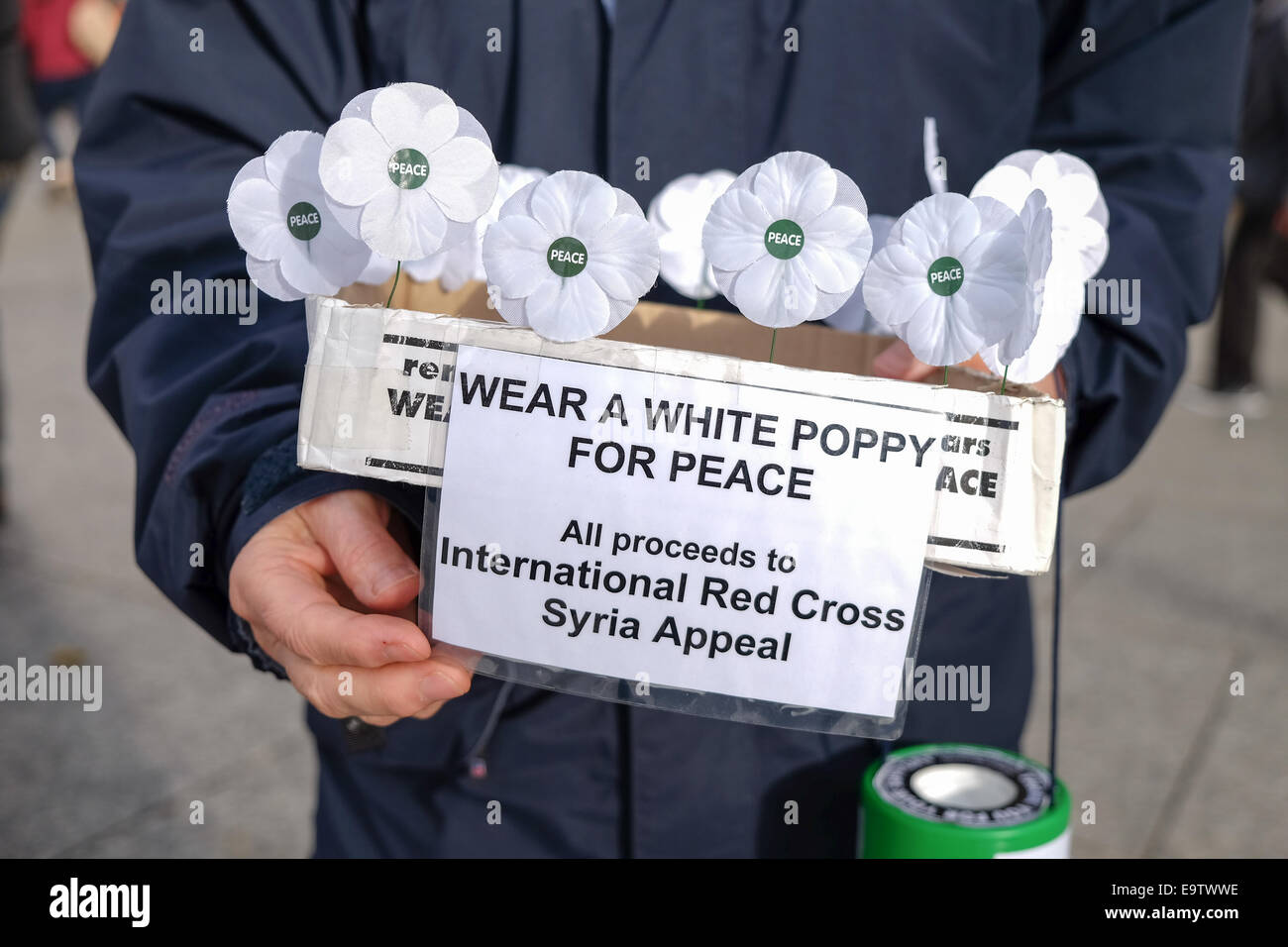 White poppy hi-res stock photography and images - Alamy