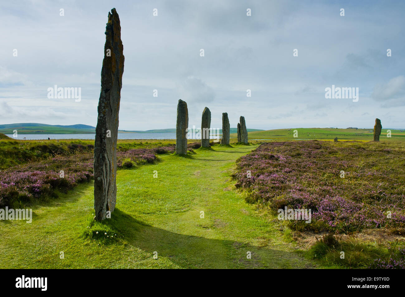 Culture circle hi-res stock photography and images - Alamy