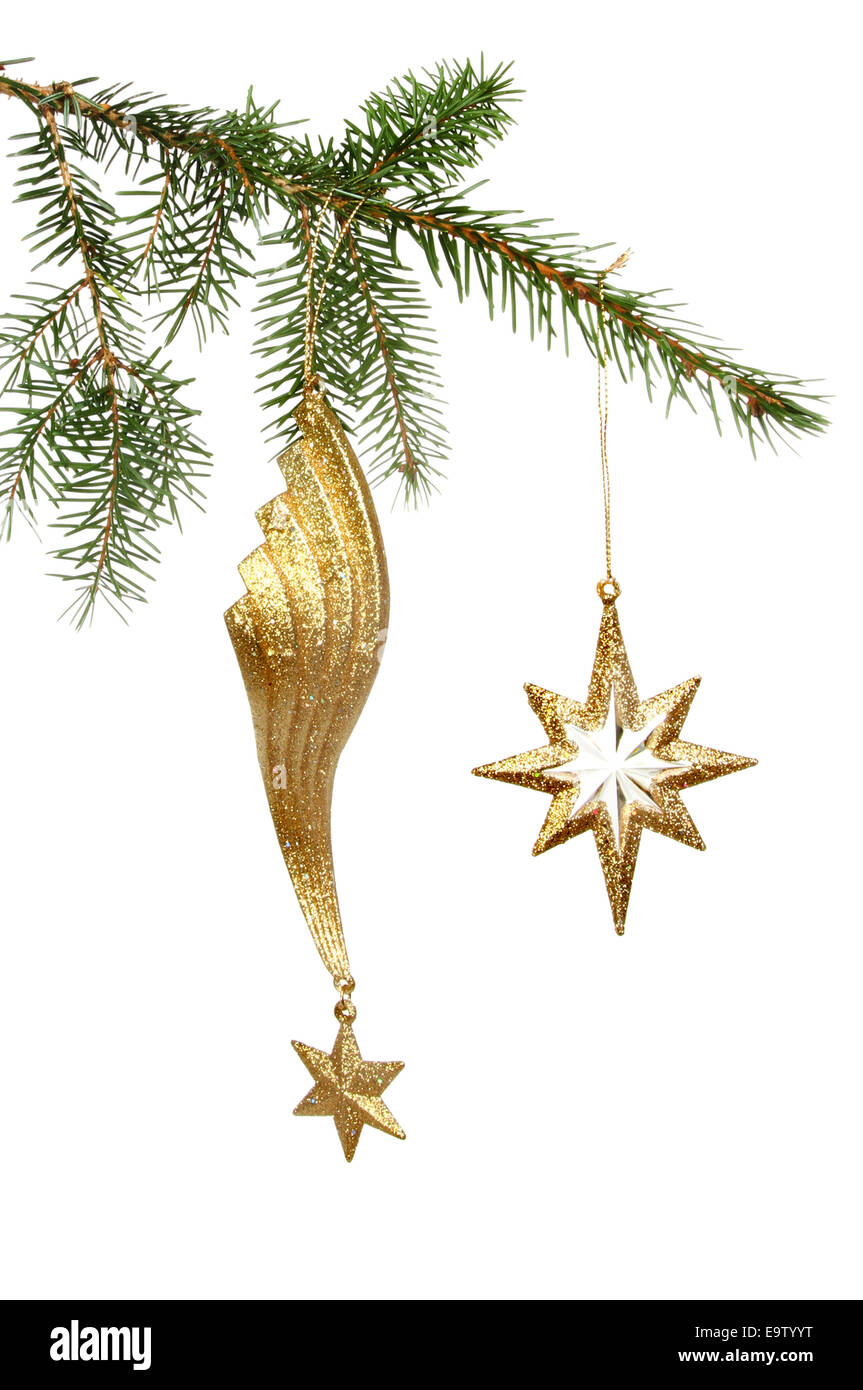 Gold star Christmas ornaments hanging in a tree against a white ...