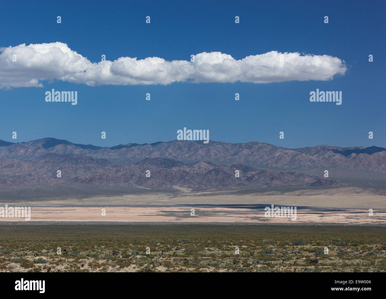 Mojave Desert Stock Photos & Mojave Desert Stock Images - Alamy