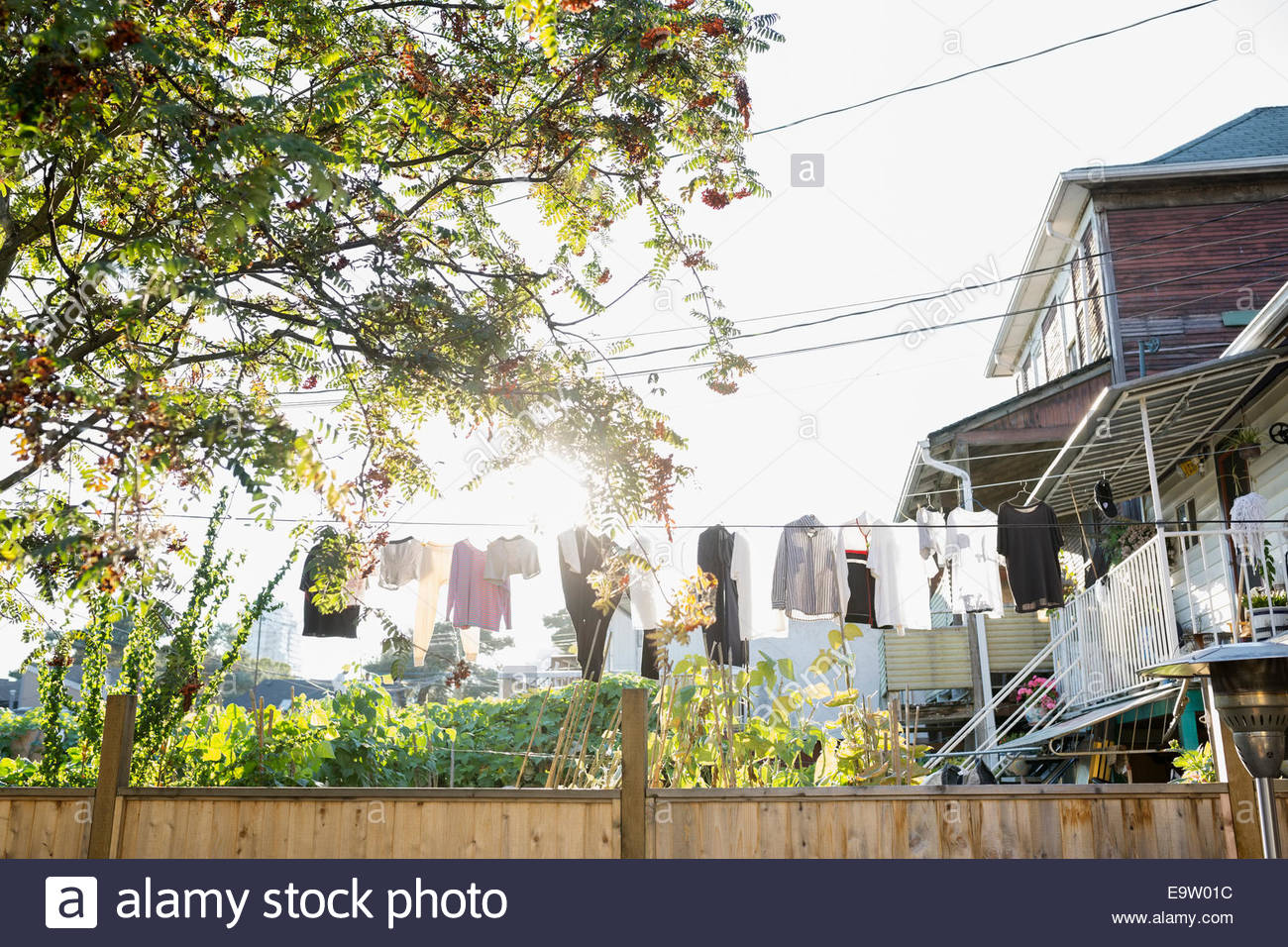 Clothes hanging on clothesline in sunny backyard Stock Photo - Alamy