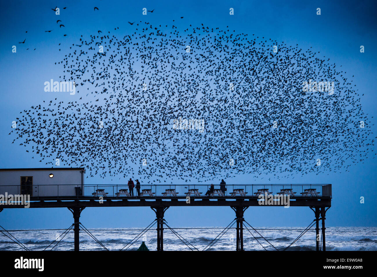 Aberystwyth Wales UK, Sunday 2 November 2014 Tens of thousands of ...