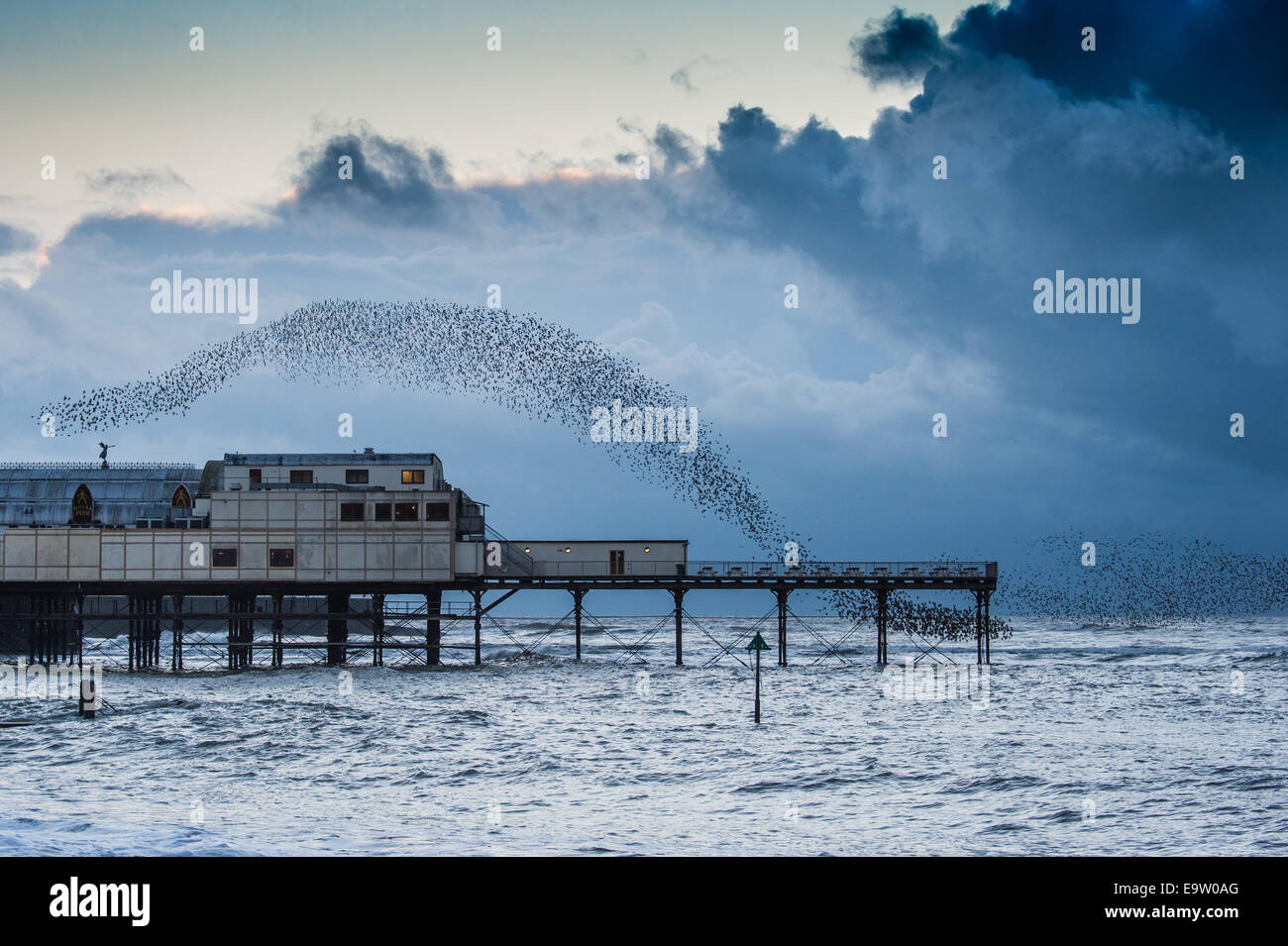 Aberystwyth Wales UK, Sunday 2 November 2014 Tens of thousands of ...