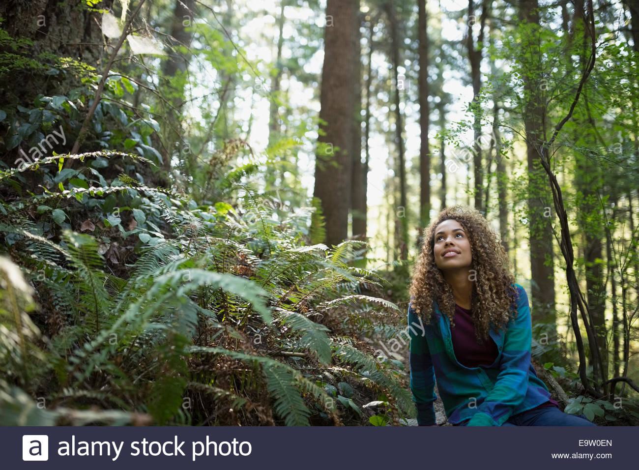 Young woman looking up at trees in woods Stock Photo - Alamy
