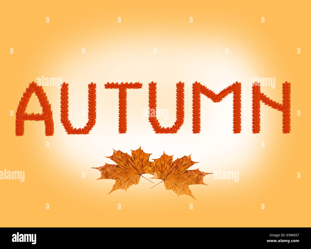Festive autumn background from Cut Out Stock Images & Pictures - Alamy