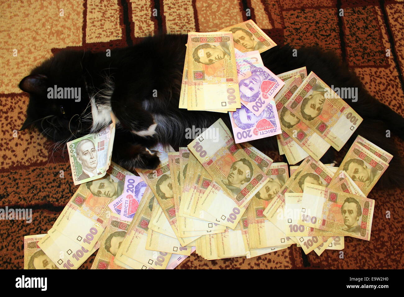 Money cat hi-res stock photography and images - Alamy