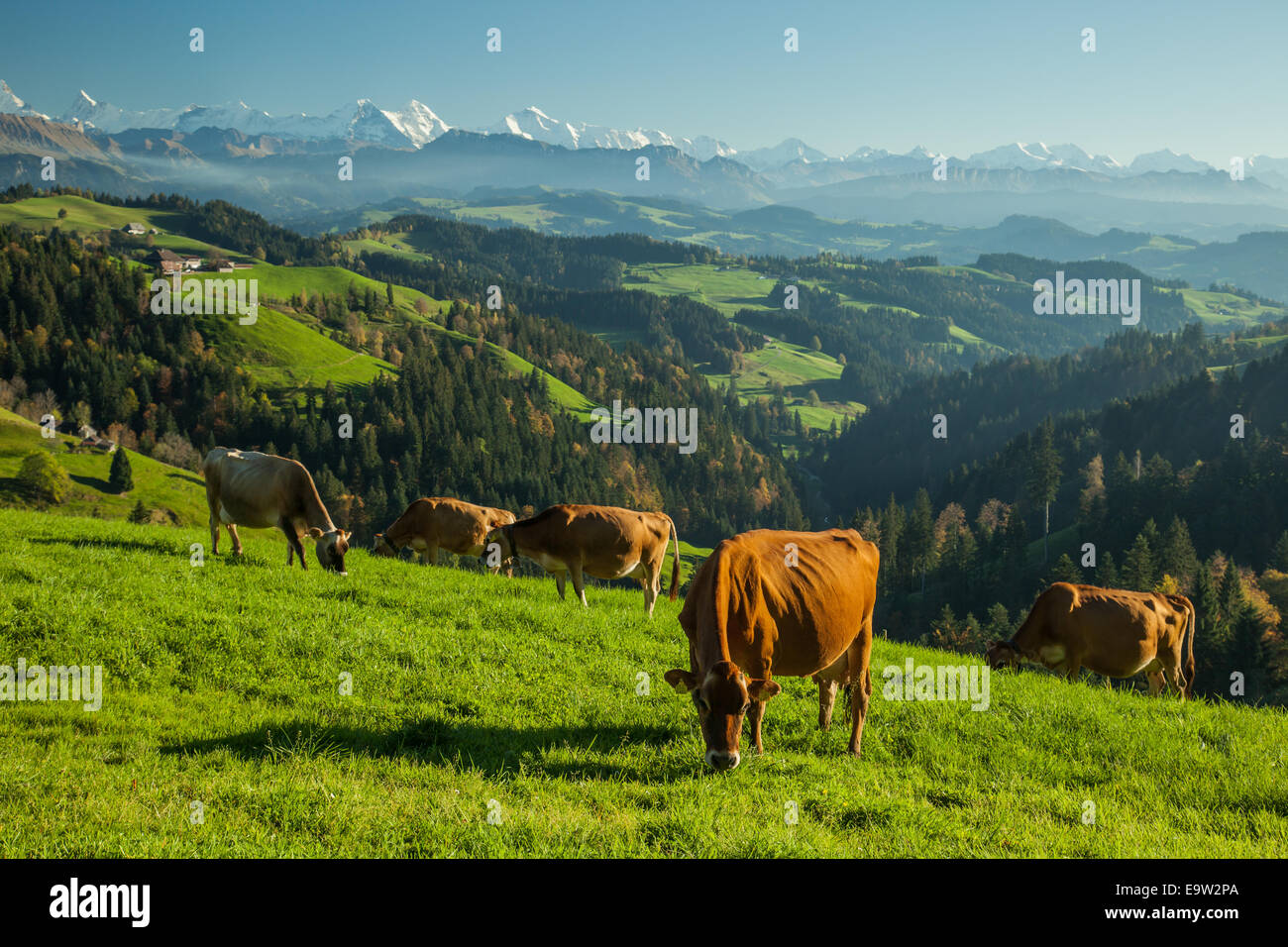 Autumn afternoon in Emmental regioin, canton of Bern, Switzerland Stock ...