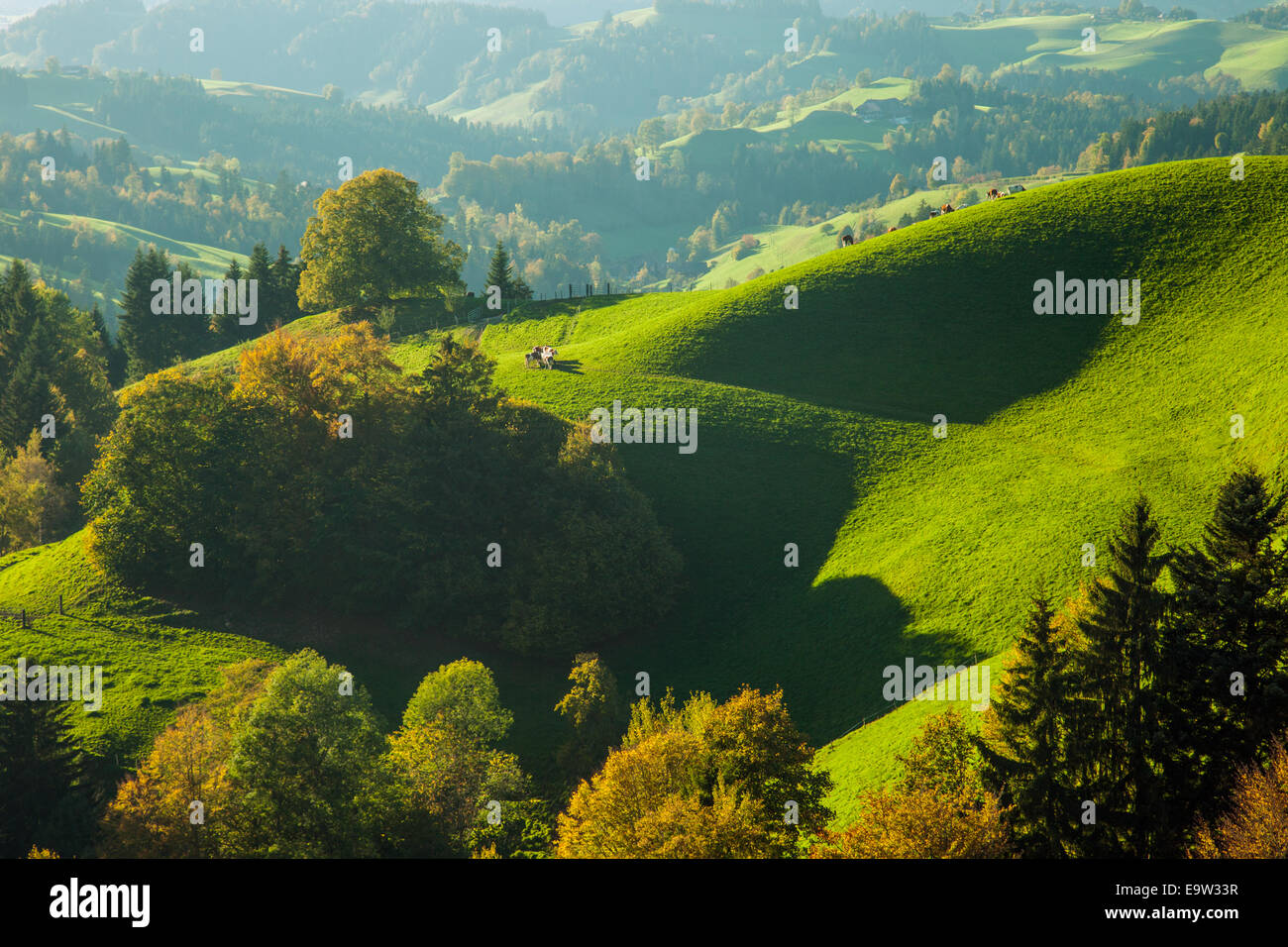Autumn afternoon in Emmental regioin, canton of Bern, Switzerland Stock ...