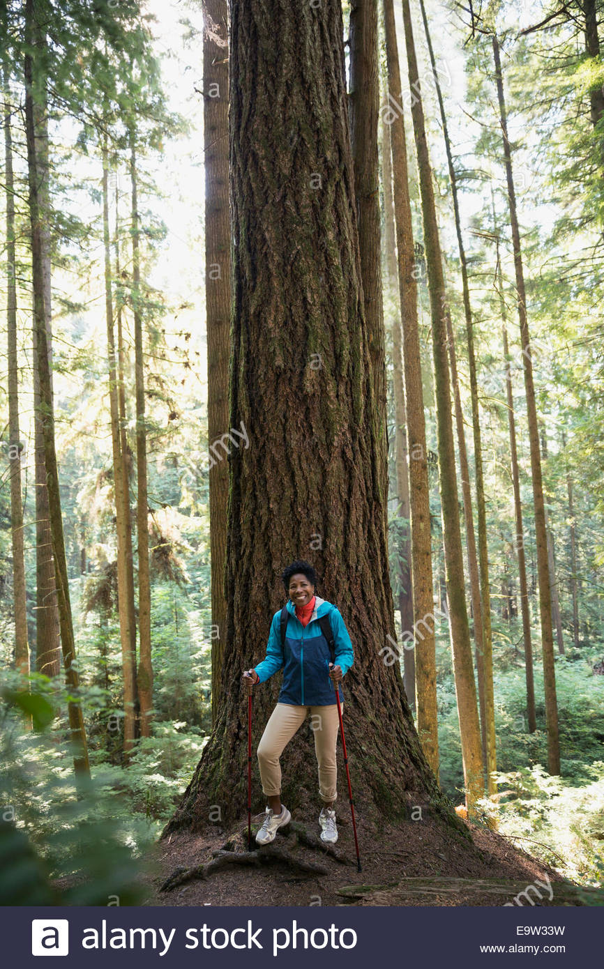 Short trunk tree hi-res stock photography and images - Alamy