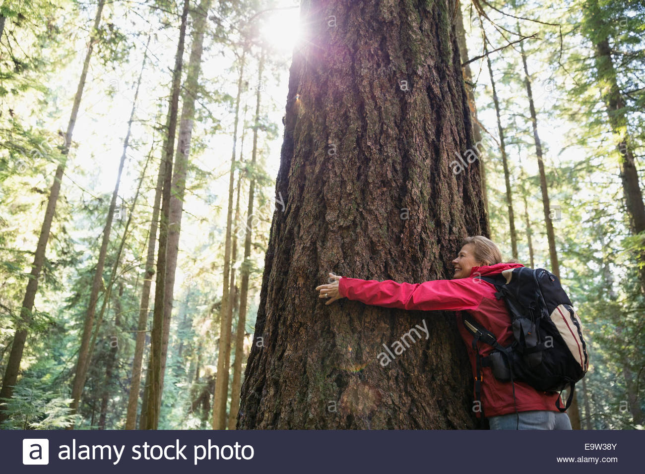 Tree hugging adult hi-res stock photography and images - Alamy