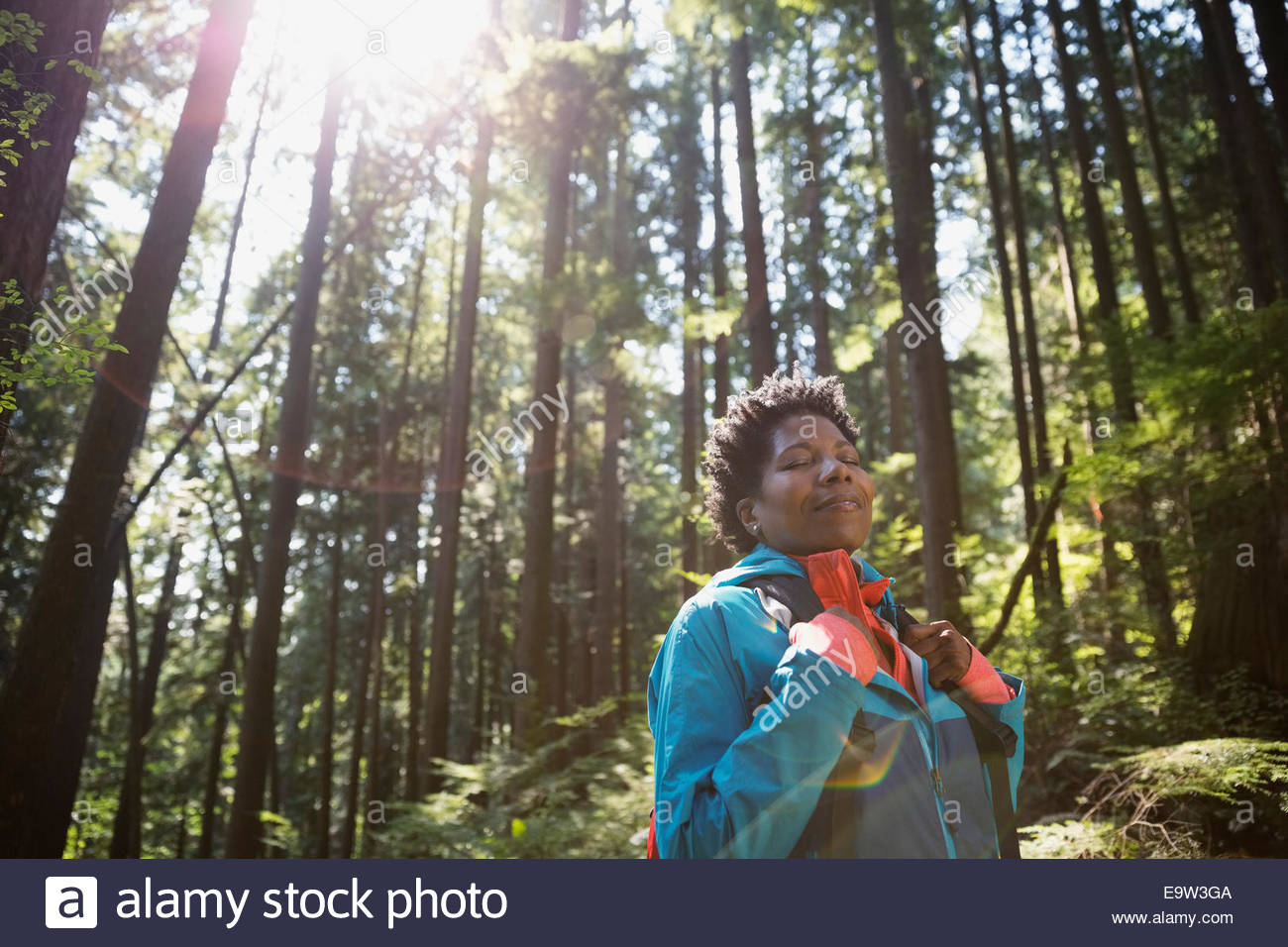Serene woman below trees in sunny woods Stock Photo - Alamy