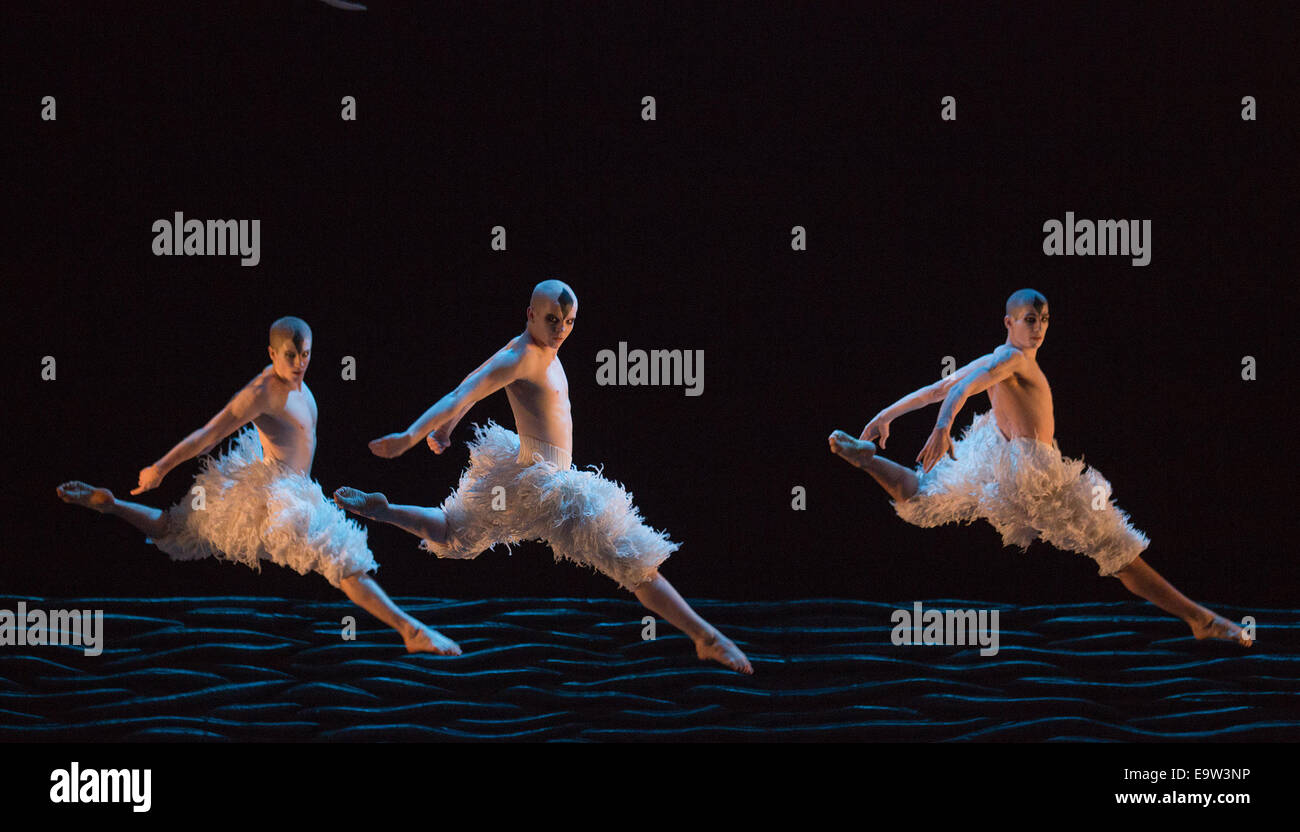 Matthew Bourne's Swan Lake, Sadler's Wells Theatre, London Stock Photo - Alamy