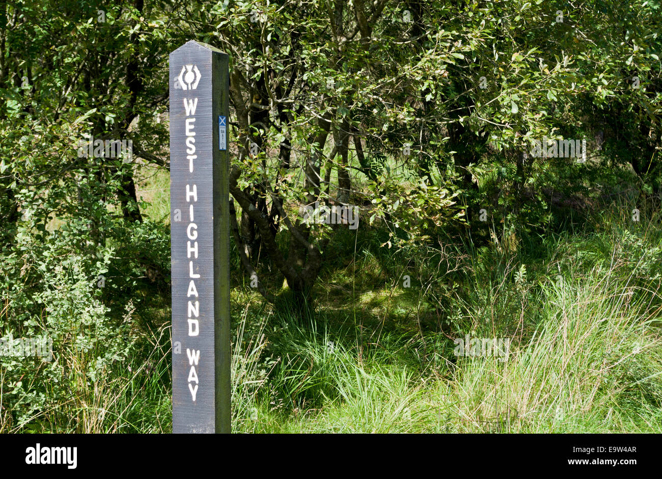 Waymarker Post for the West Highland Way Long Distance Footpath, Argyll ... Waymarker Post for the West Highland Way Long Distance Footpath, Argyll ...