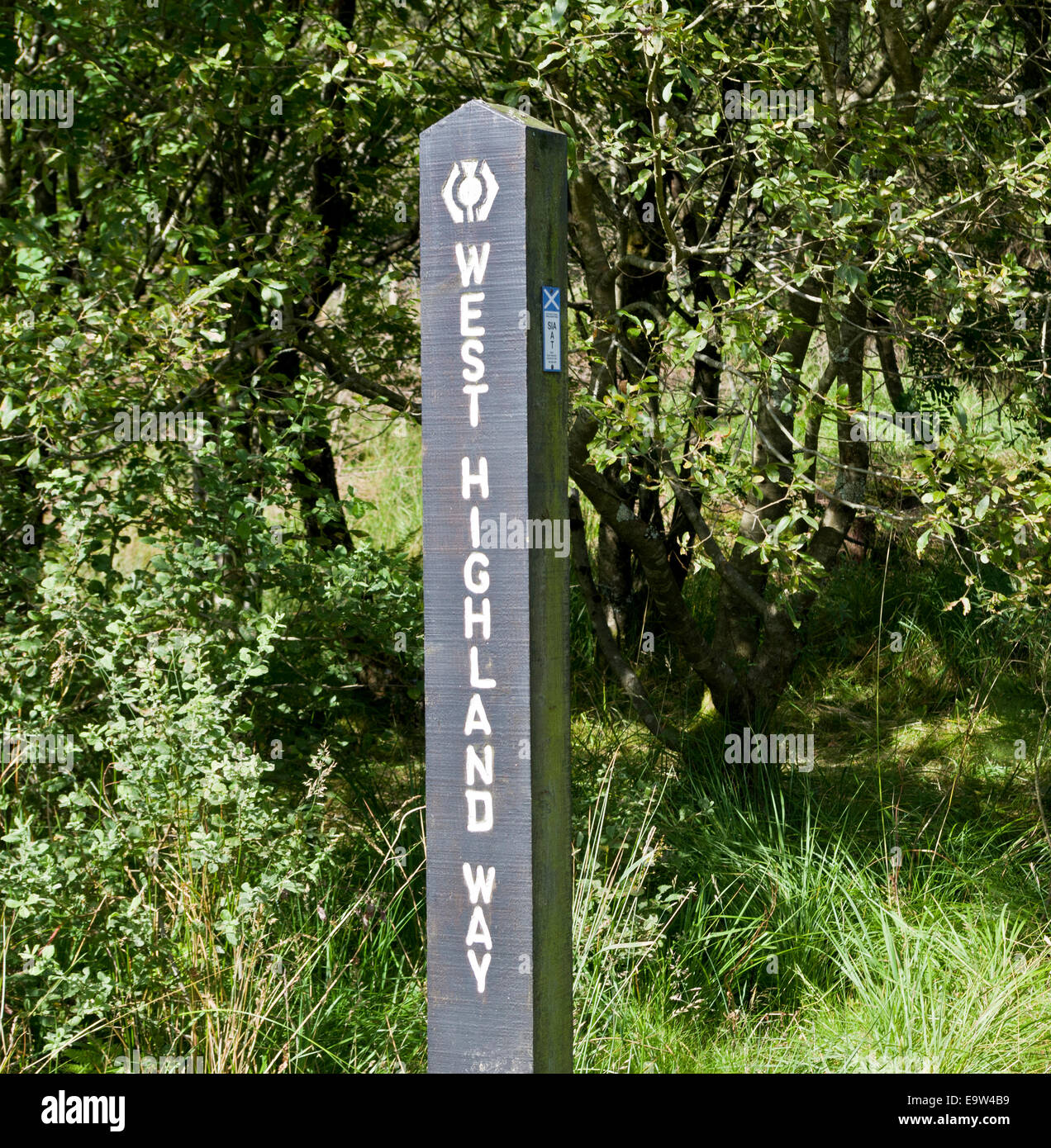Wooden long distance footpath marker post hi-res stock photography and ...