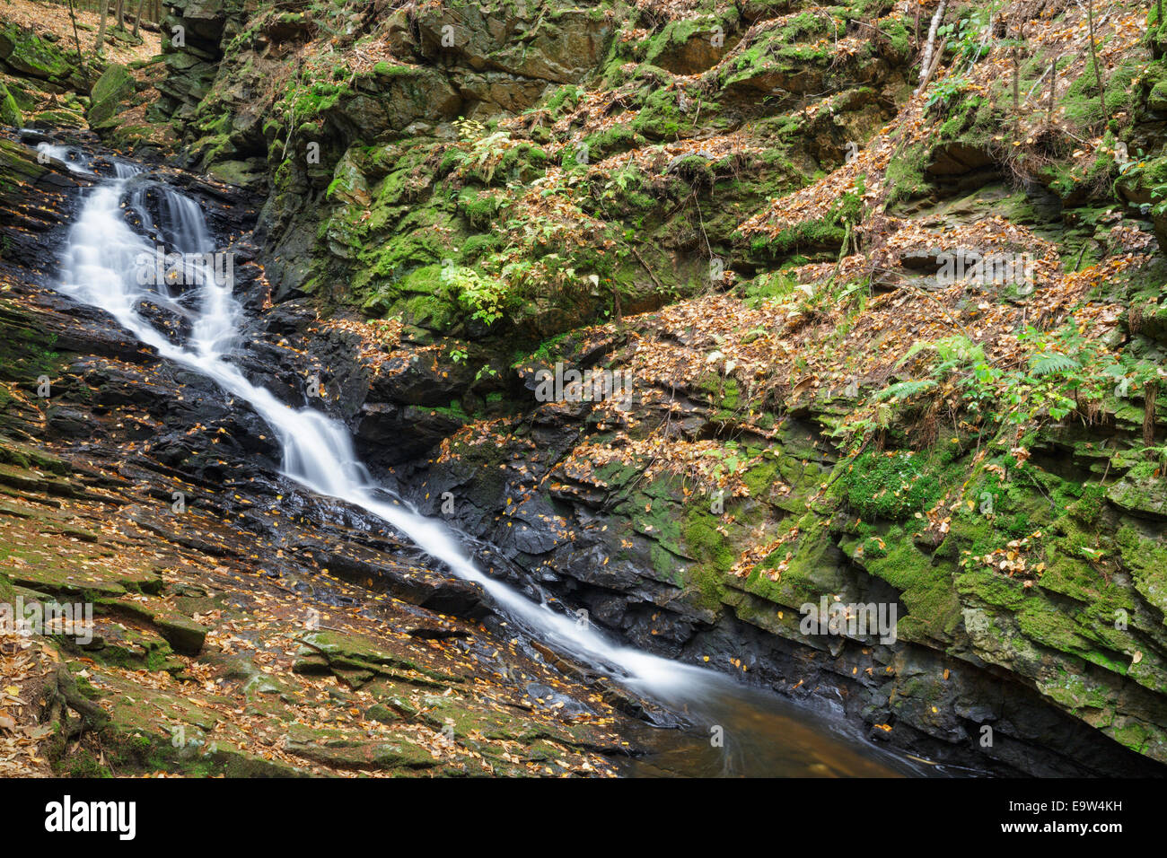 Wilde Brook in Chesterfield Gorge Natural Area of Chesterfield, New ...