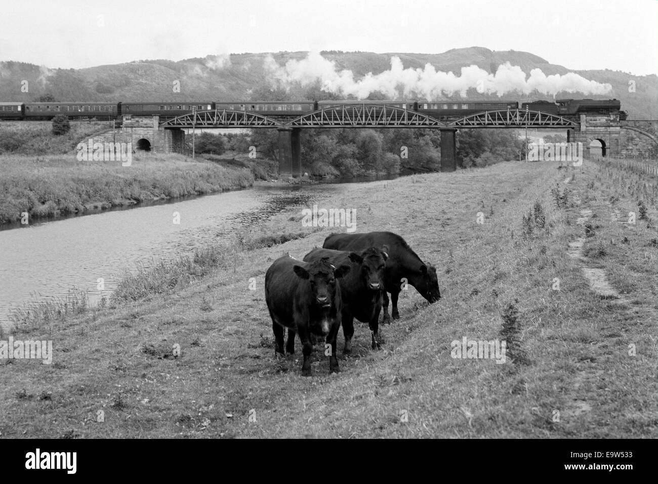 original unidentified british rail steam locomotive crossing a river ...