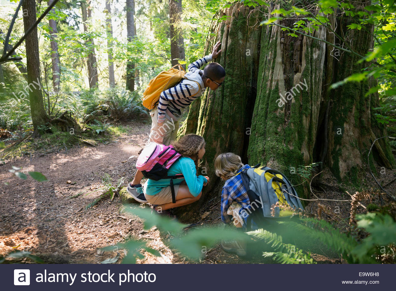 Children looking with curiosity hi-res stock photography and images - Alamy