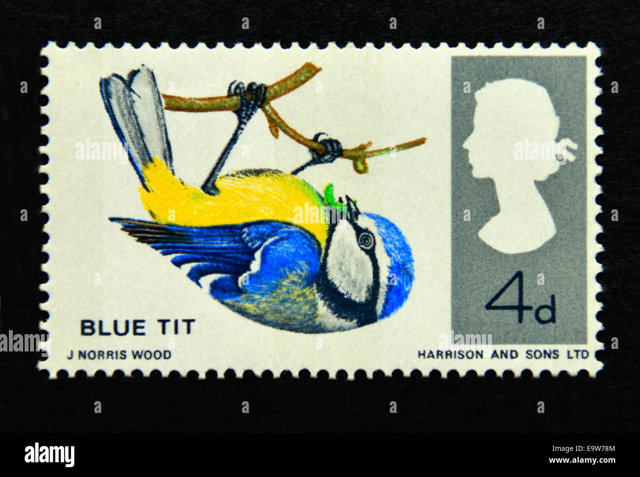 Postage stamp. Great Britain. Queen Elizabeth II. British Birds, Blue ...