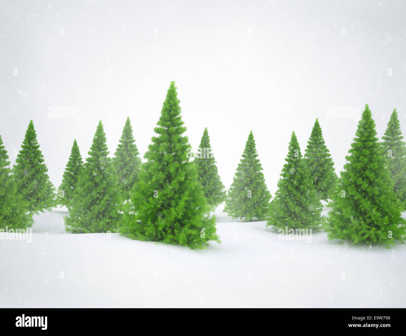 Green pine detail hi-res stock photography and images - Alamy