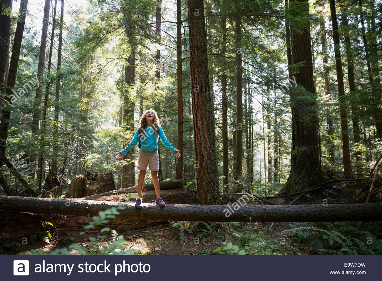 Tree with arms hi-res stock photography and images - Alamy