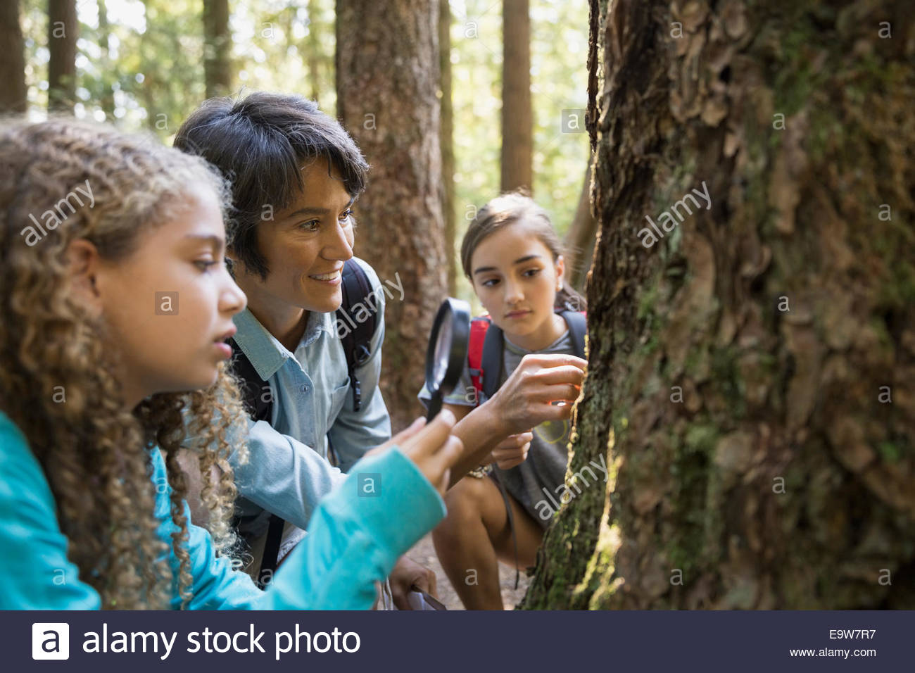 Children at tree hi-res stock photography and images - Alamy