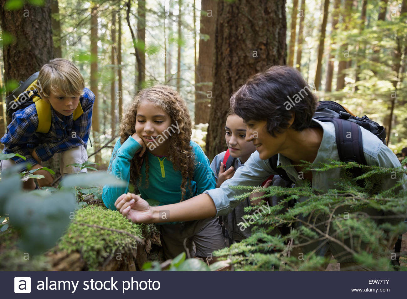Boy touching tree in forest hi-res stock photography and images - Alamy