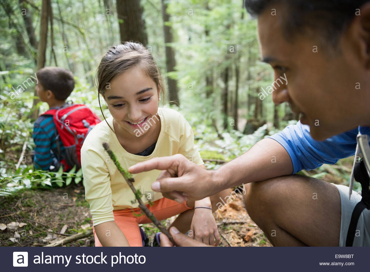 Father showing daughter stick in woods Stock Photo - Alamy