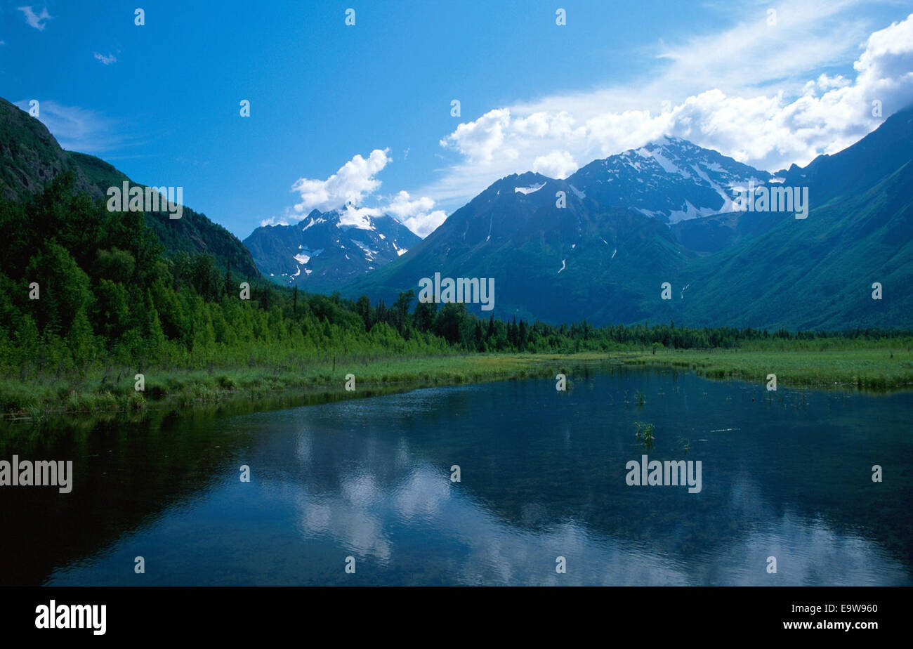 Alaskan ecosystems hi-res stock photography and images - Alamy
