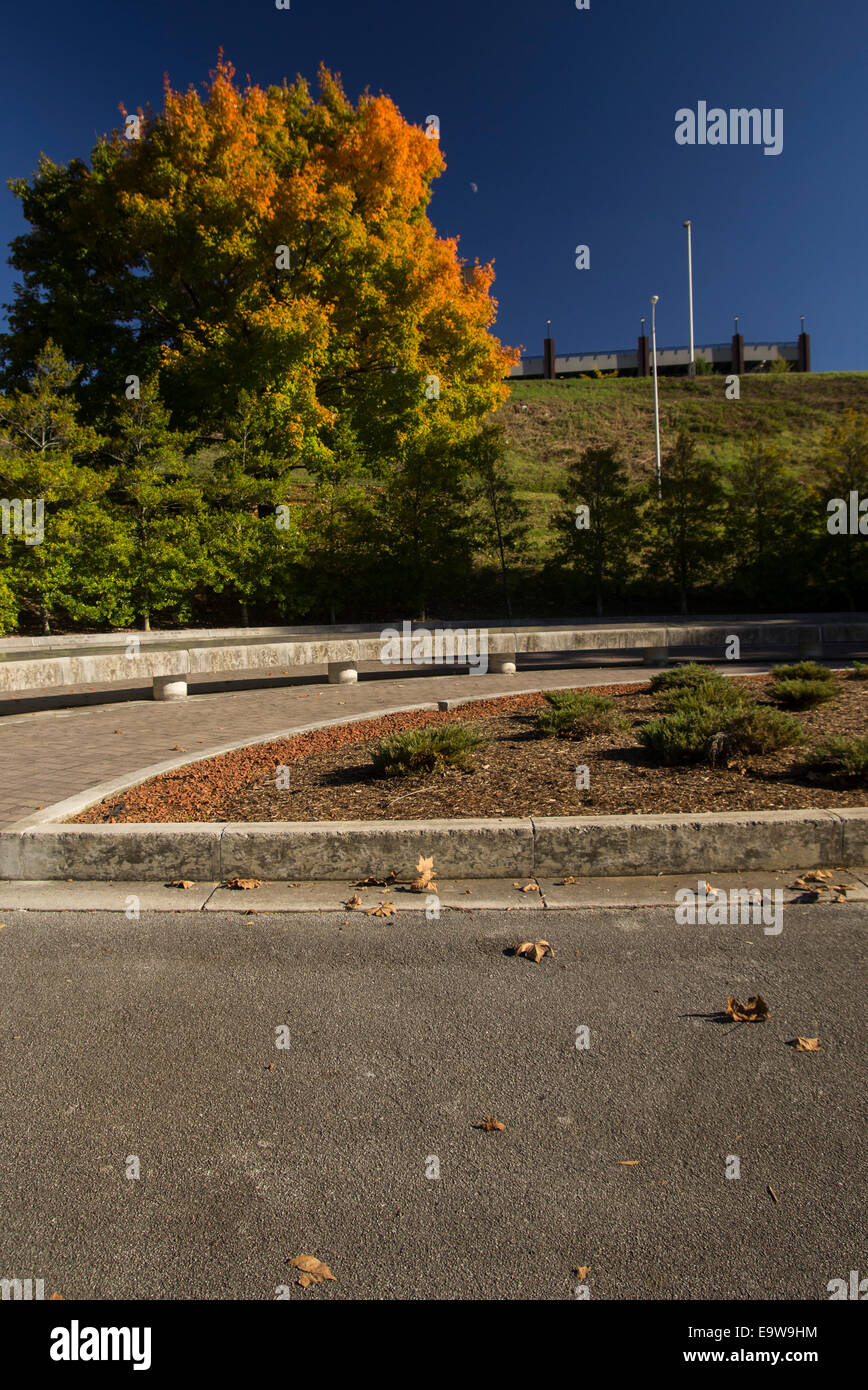 An empty park during fall Stock Photo - Alamy