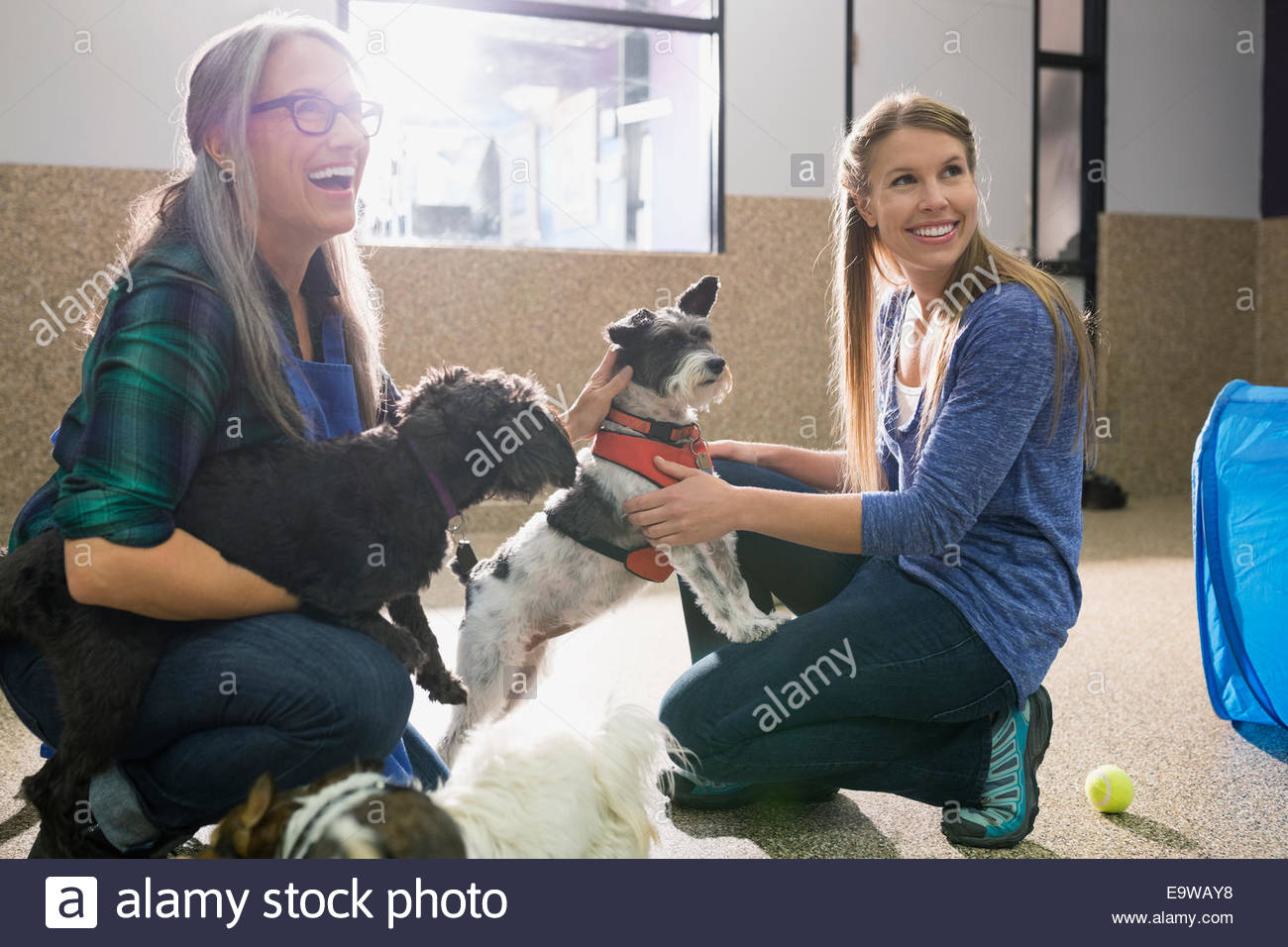 Group of pet owners people hi-res stock photography and images - Alamy