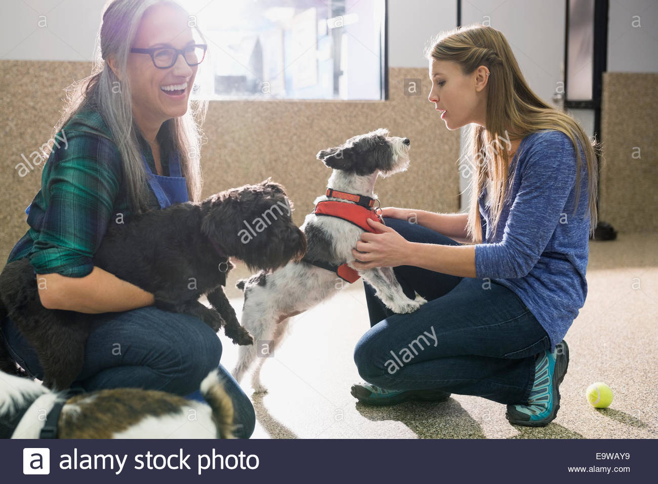 Group of pet owners people hi-res stock photography and images - Alamy