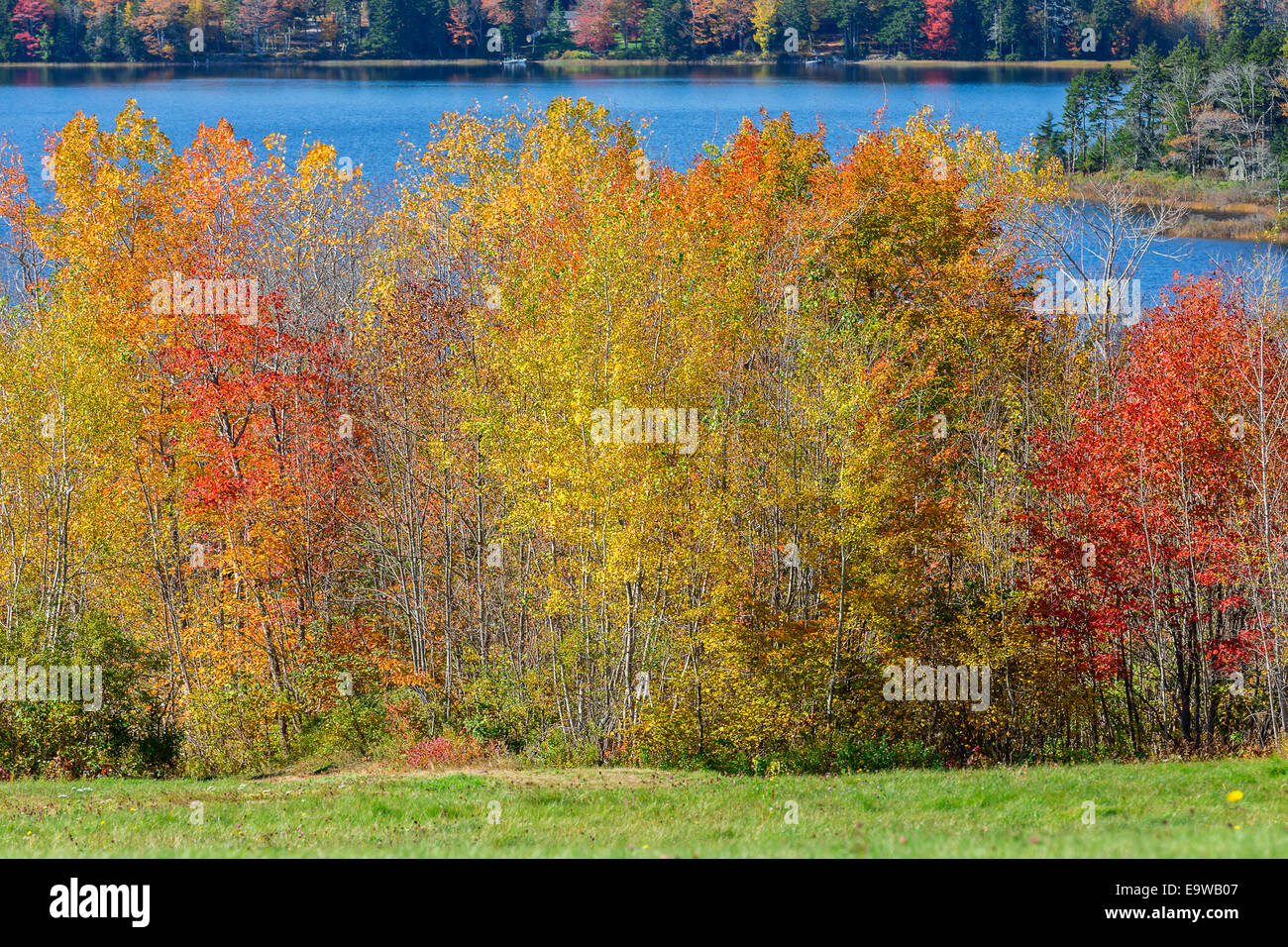 Jones pond hi-res stock photography and images - Alamy