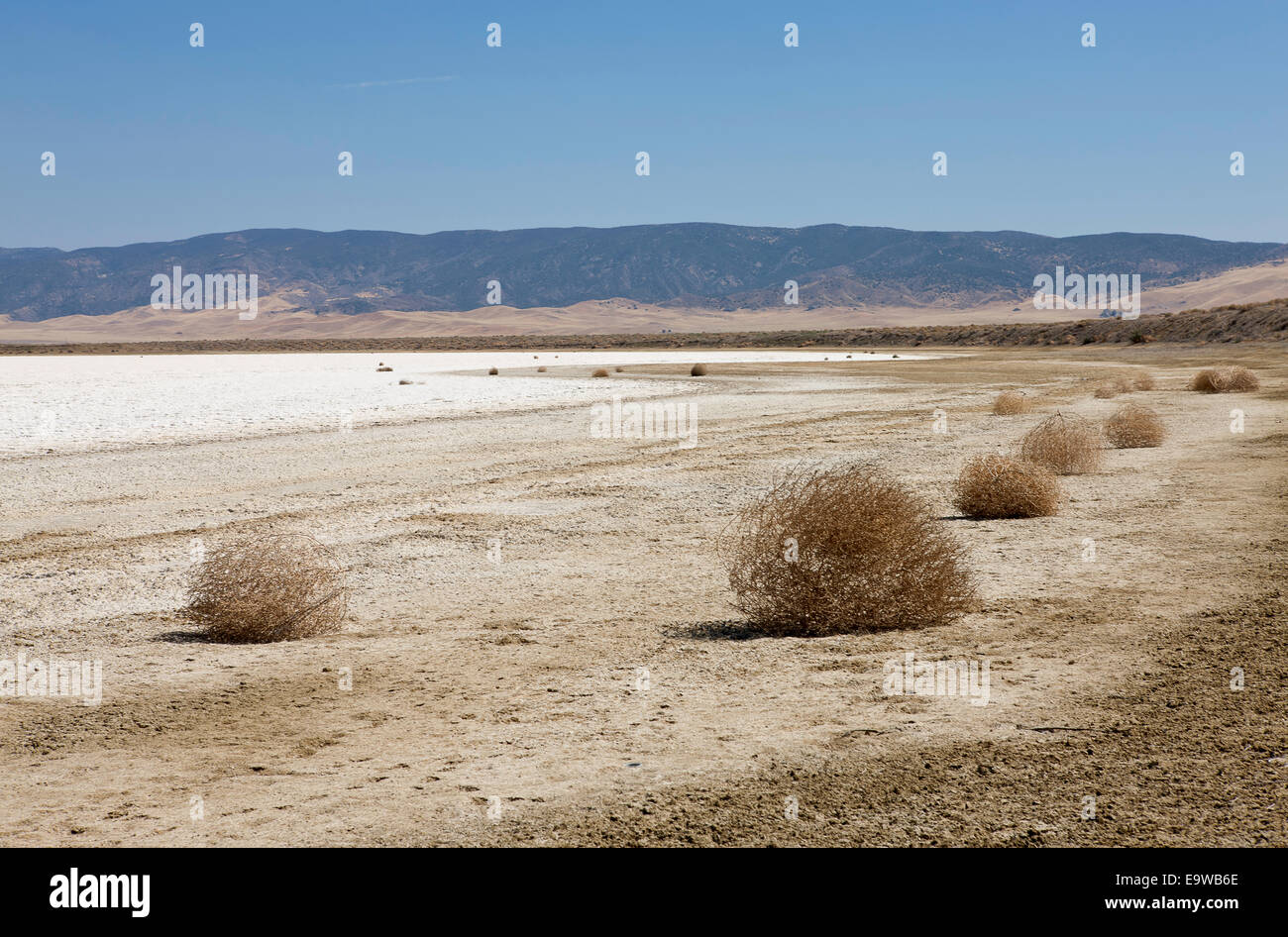 Tumbleweed hi-res stock photography and images - Alamy
