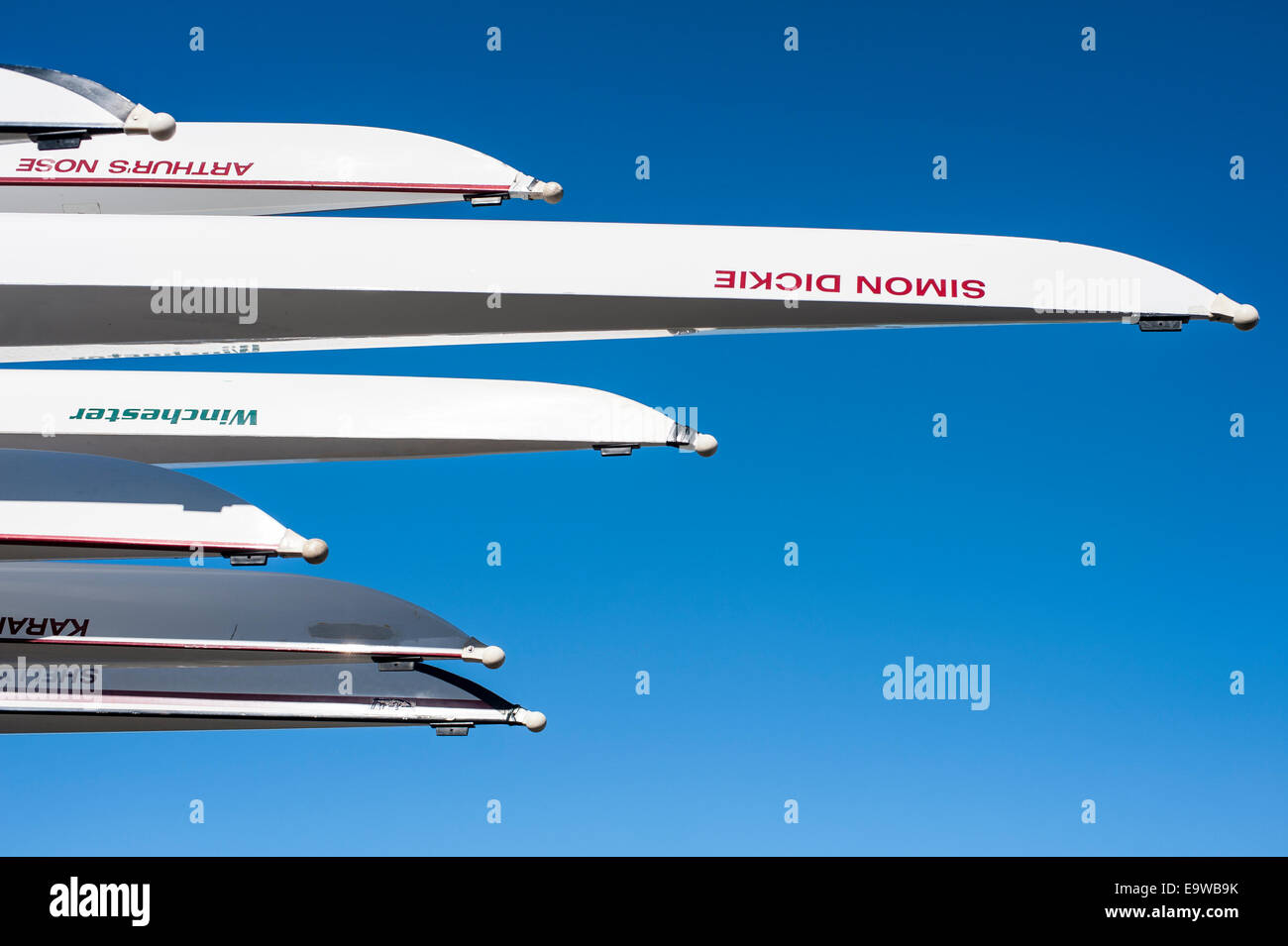 Racing shells hi-res stock photography and images - Alamy